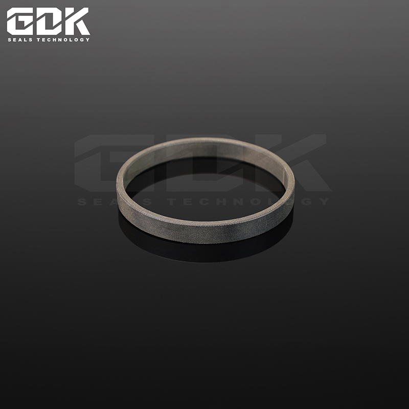 Mechanical Seals Manufacturer Supply Sealing Guide Ring Seal